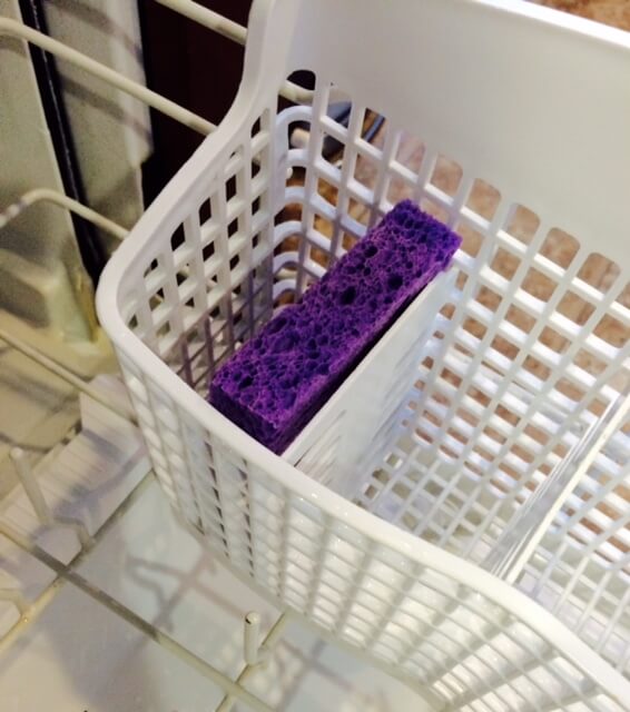 Clean Mold off Sponges | Mold Free Living