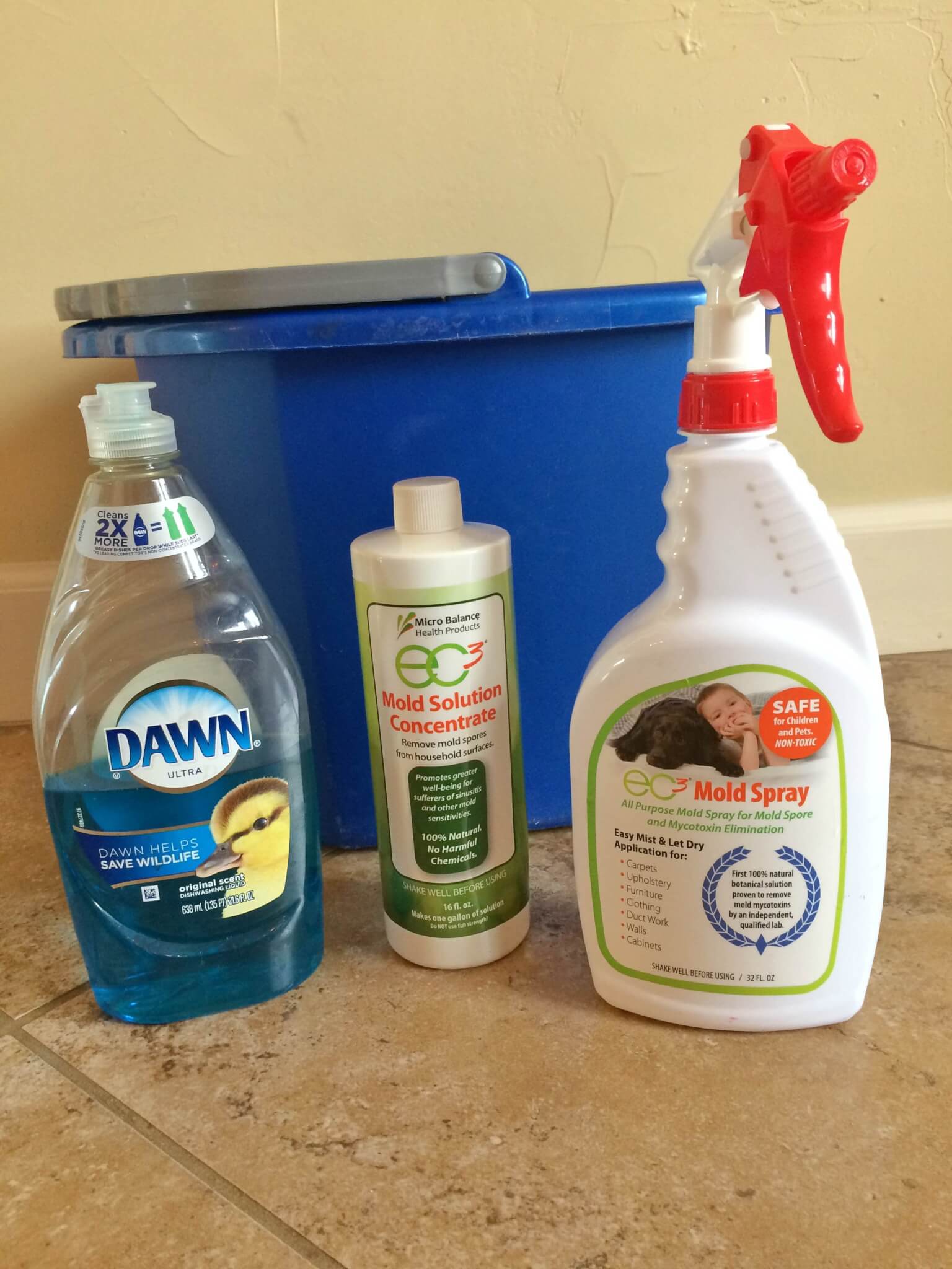 Steamy Showers AND a Mold-Free Home? Now You Can Have Both! | Mold Free ...