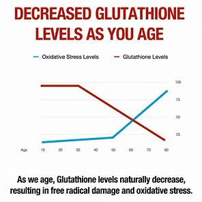 Glutathione: The Most Important Antioxidant for Mold Recovery That You ...