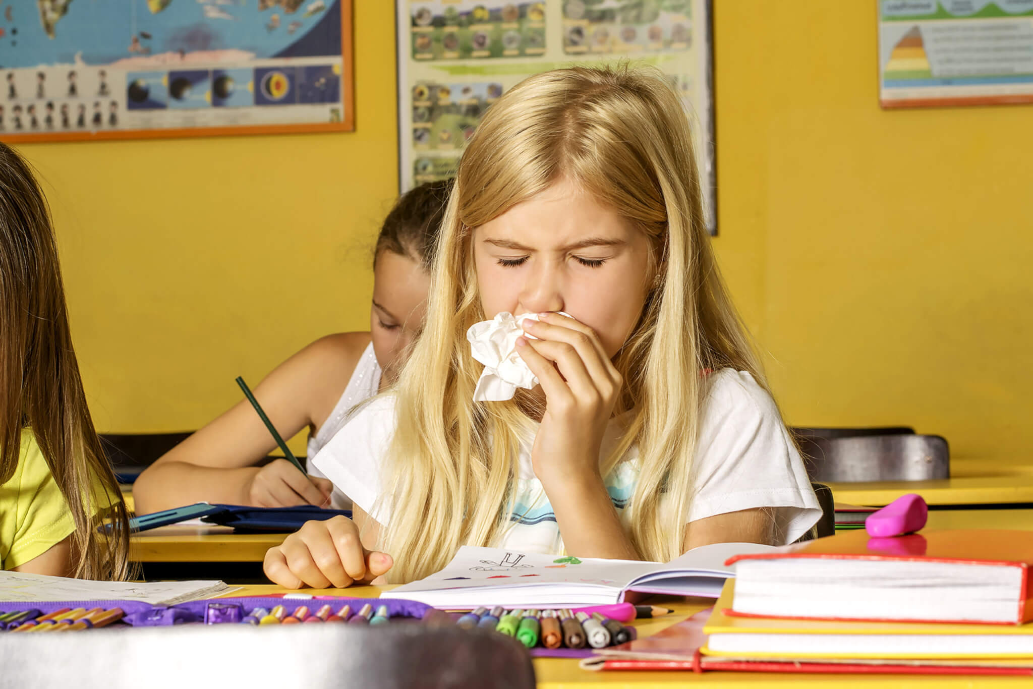 Mold in My School: What Should I Do? | Mold Free Living