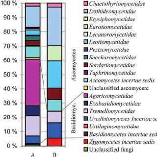 Mold Research Study | Mold Free Living